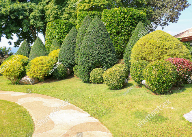 Planting And Keeping Up Consumable Landscaping